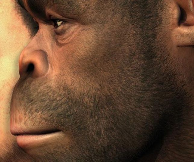 Notícias Qual Será A Aparência Dos Humanos Daqui A 1 Milhão De Anos